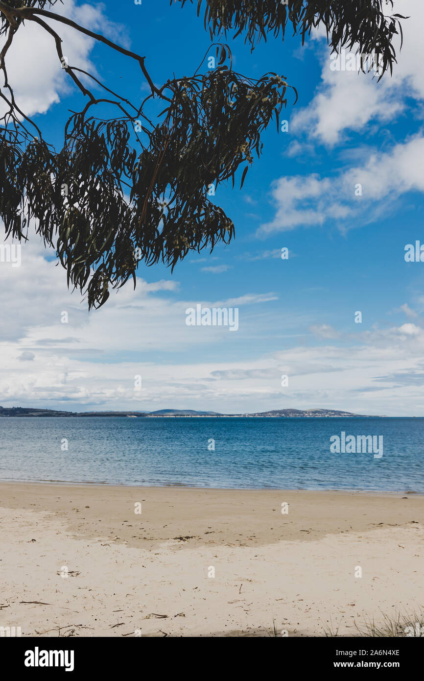 pristine Australian coastline and beach landscape with blue Pacific Ocean water and golden sand ...