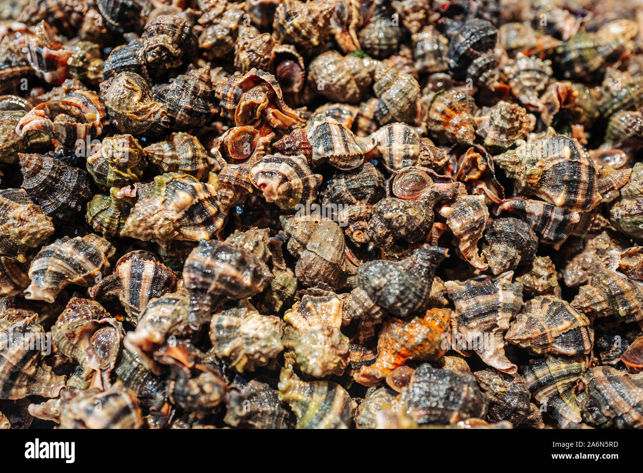 Fresh raw sea shells on sale at the fish market in Cagliari Stock Photo ...