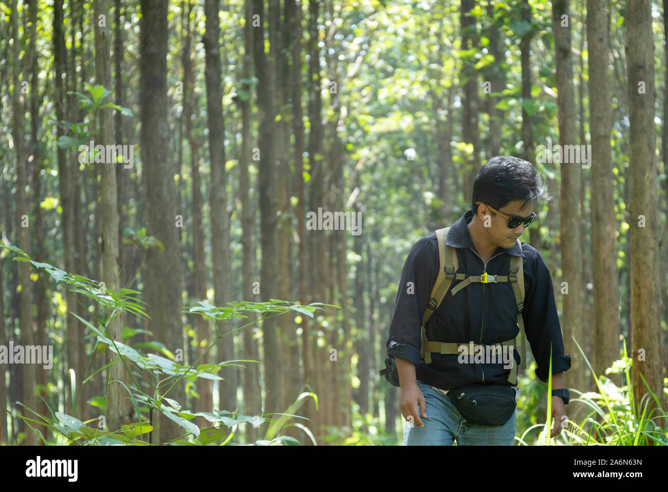 Man walking alone in deep forest Travel healthy active lifestyle ...