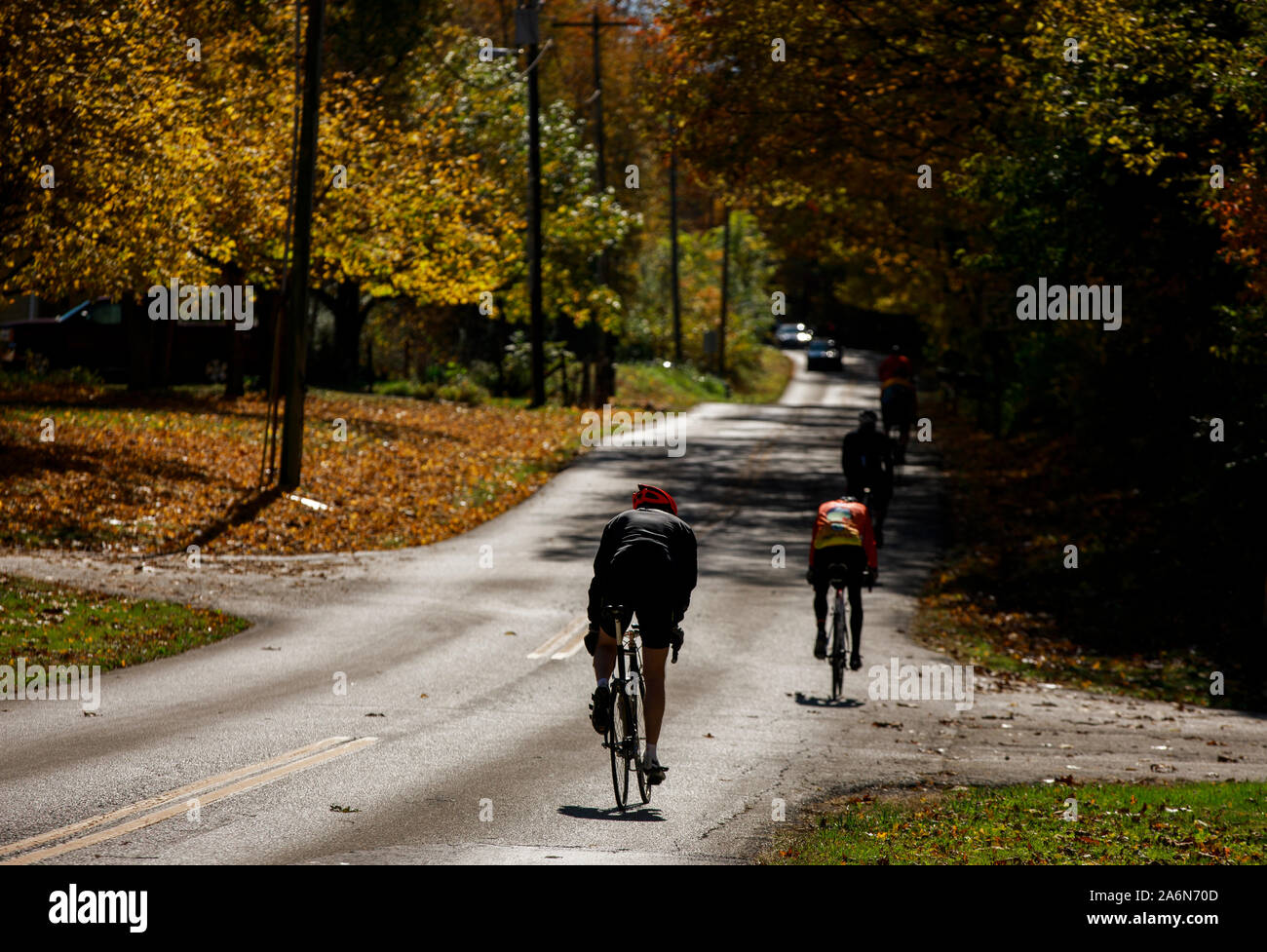 Bicyclists participate in the Hilly Hundred bicycle ride which began in ...