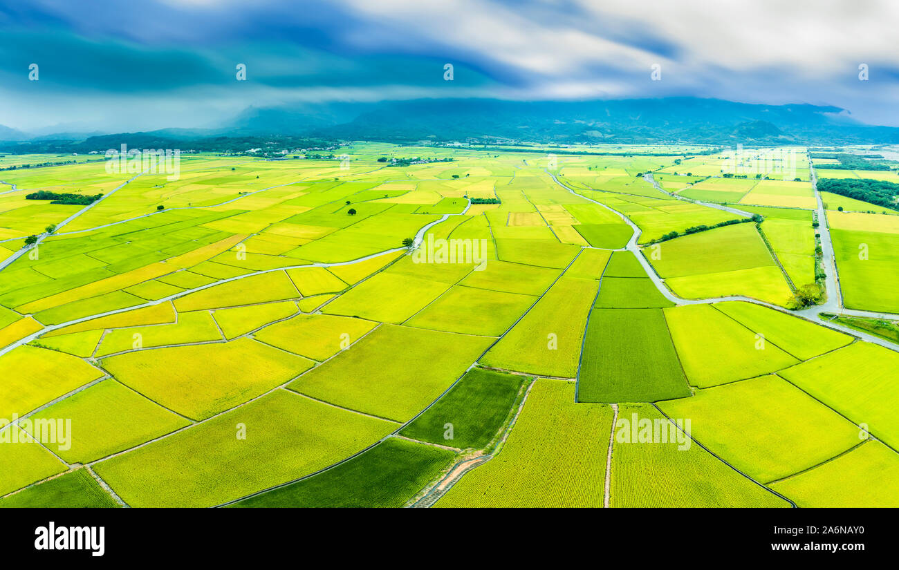Aerial view of Beautiful Rice Fields in taitung . Taiwan Stock Photo ...