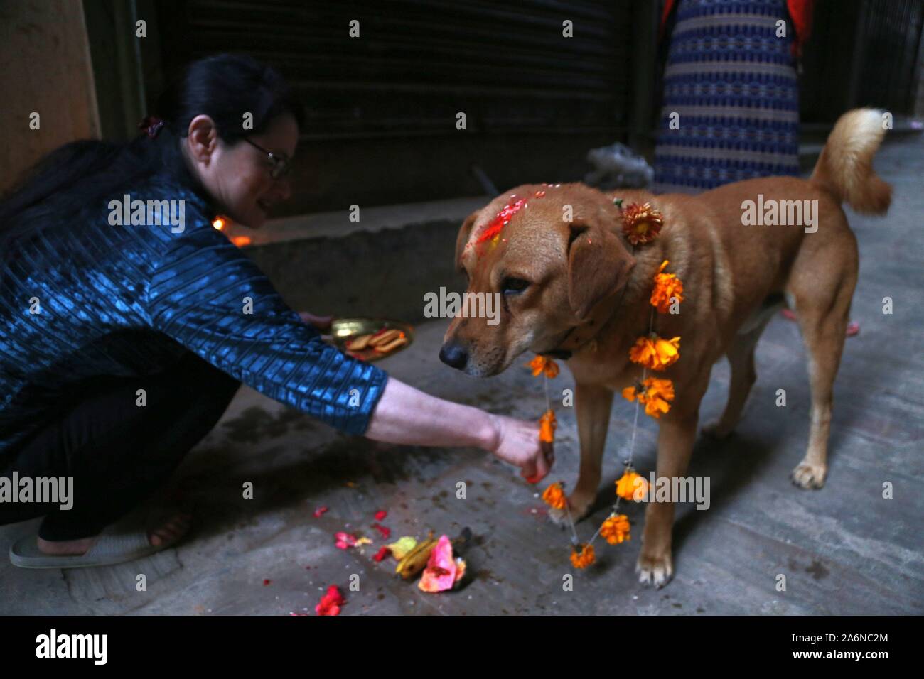 Kathmandu, Nepal. 27th Oct, 2019. A dog is worshiped on the second day ...