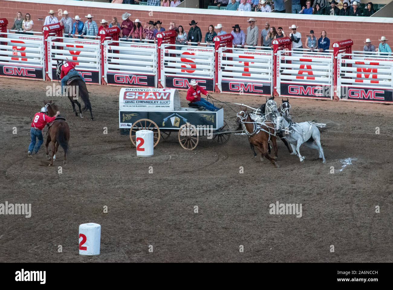 GMC Rangeland Derby Chuckwagon Racing at the Calgary Stampede ...