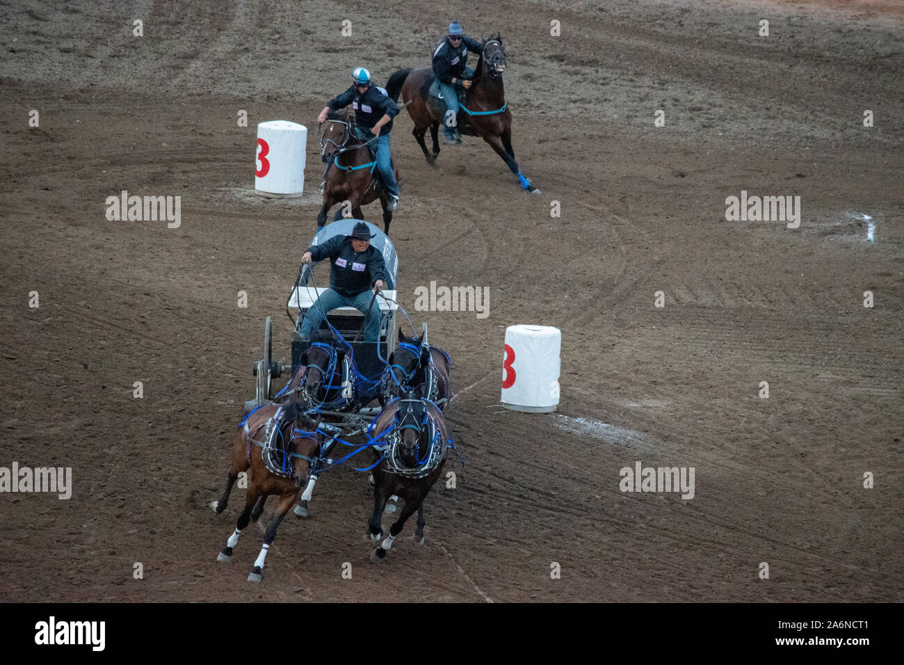 Chuckwagon Racing High Resolution Stock Photography and Images - Alamy