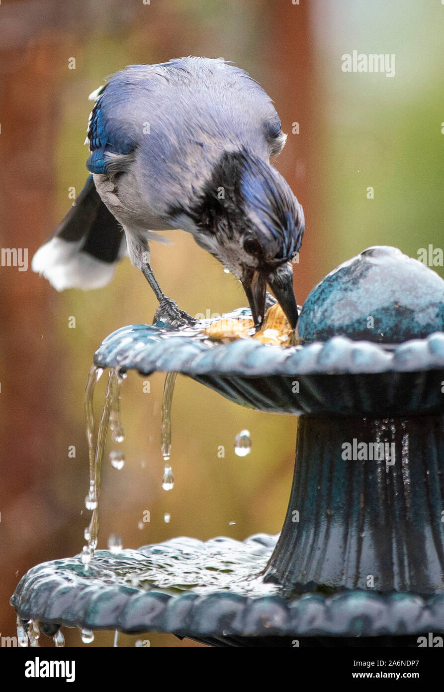 Snatch and grab hi-res stock photography and images - Alamy