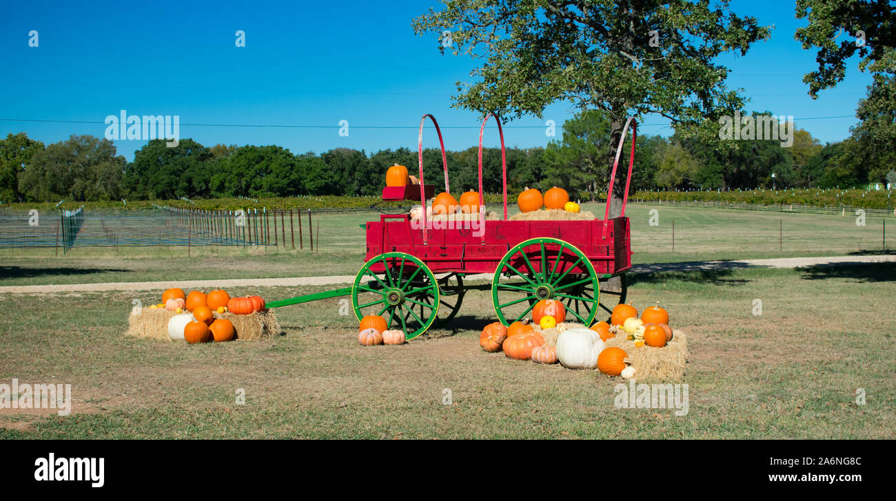 Festive Red Fall Wagon Carrying Pumpkins Outside a Texas Winery Stock ...