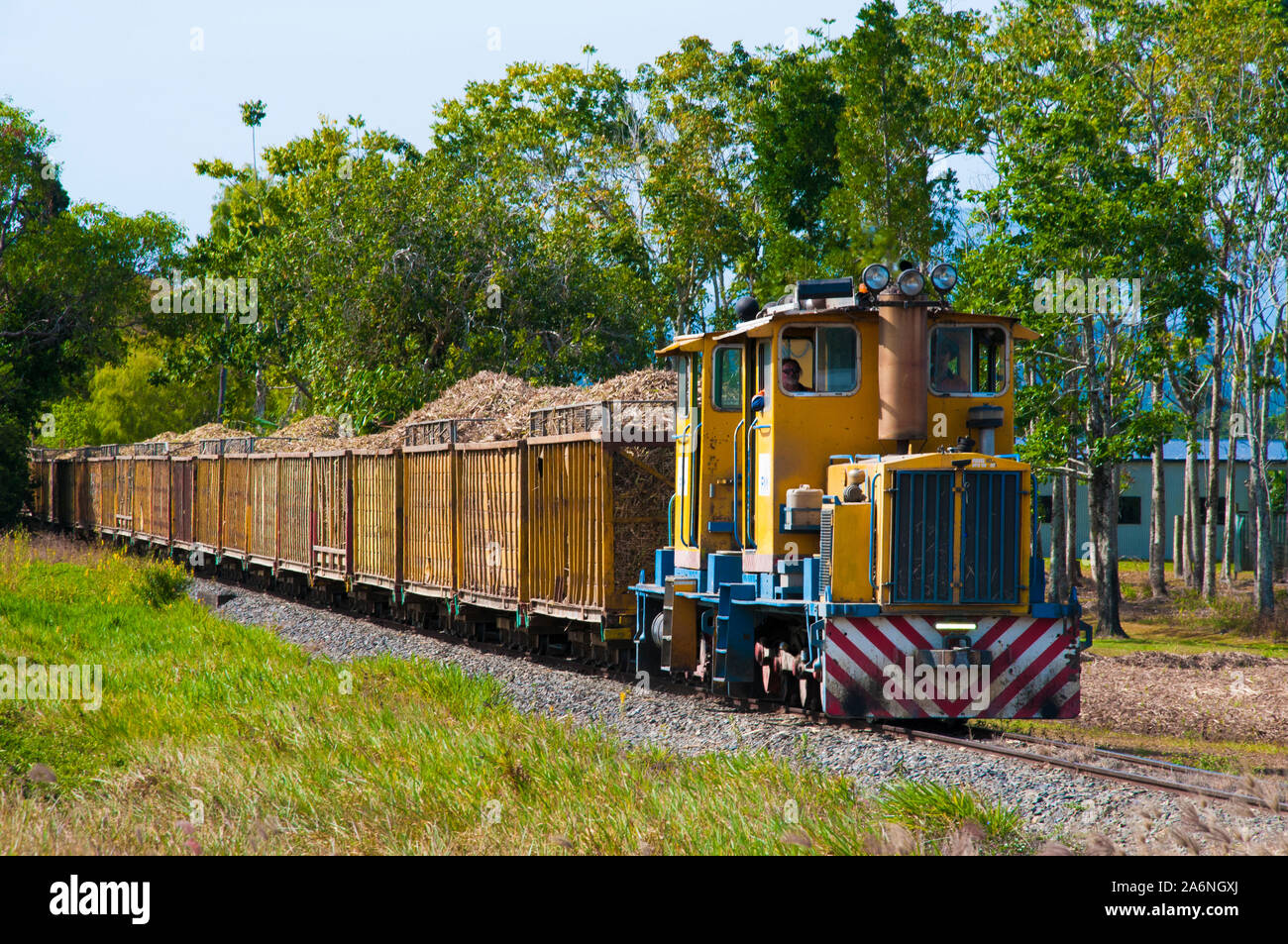 Locomotive hauling a sugar cane train near Mossman, Far North ...