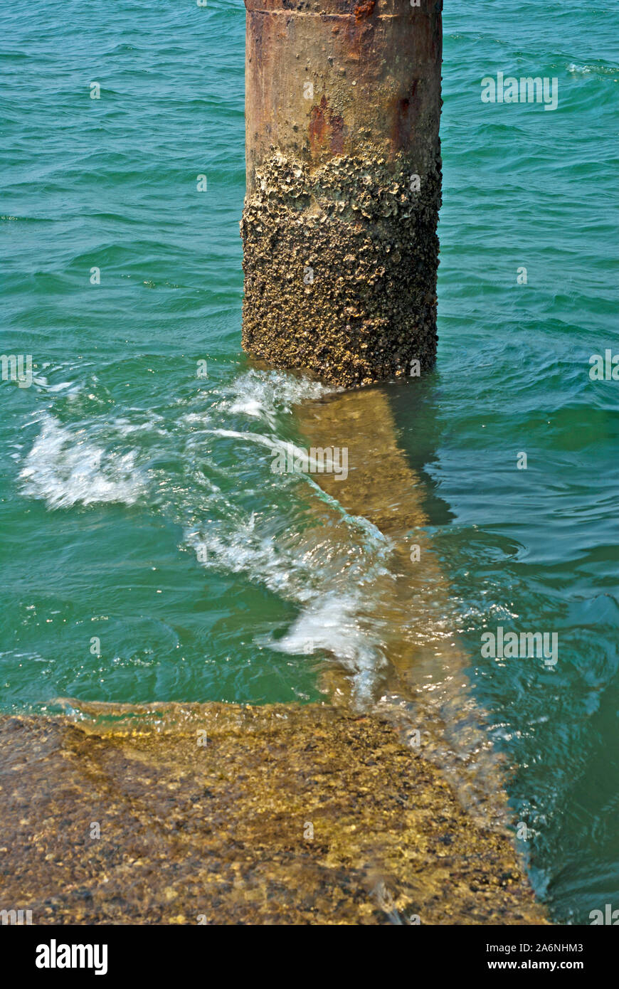 Barnacles on surface corrosion steel pole at the sea Stock Photo - Alamy