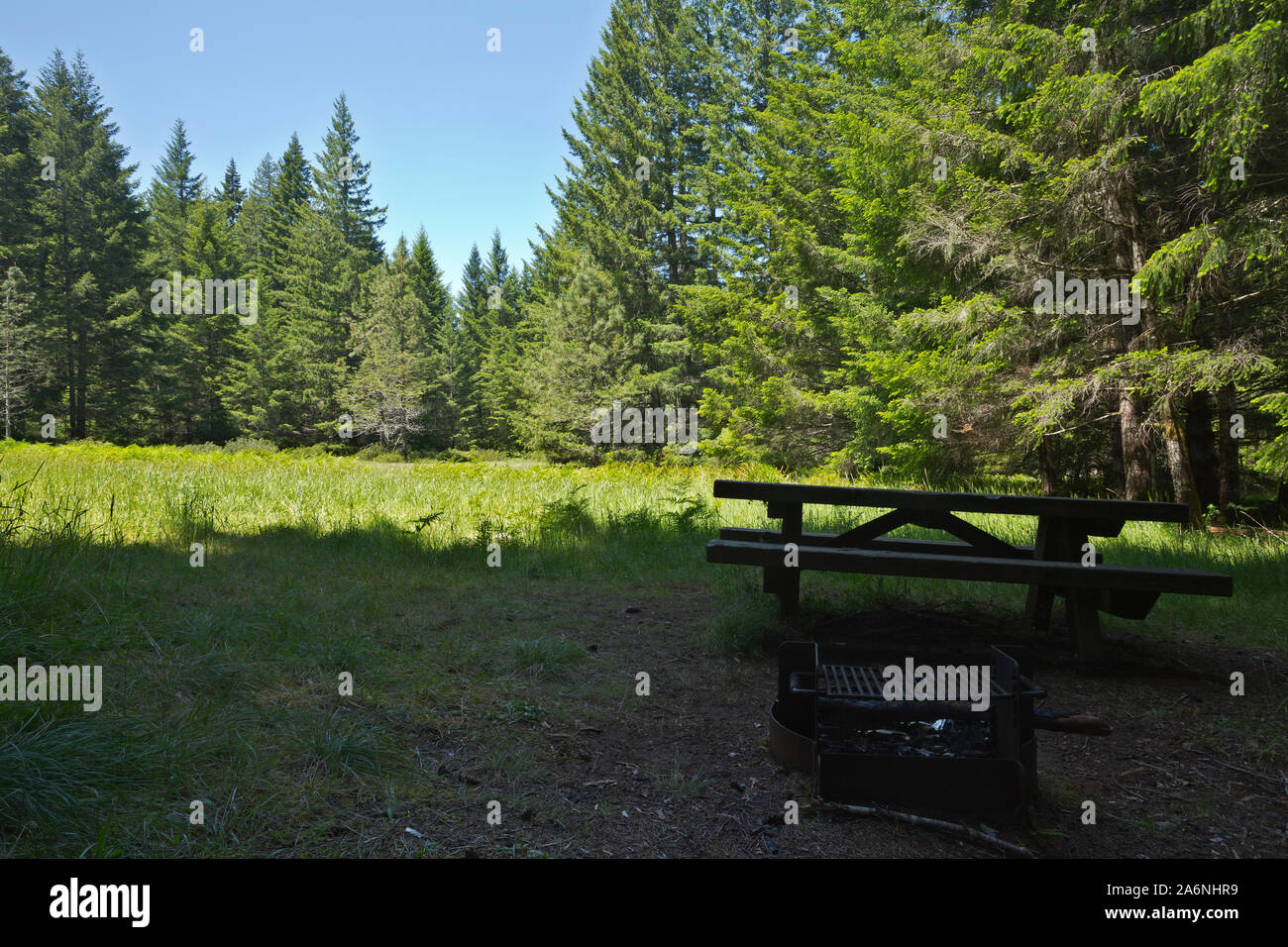 CA03771-00...CALIFORNIA - Little Bald Hills Backcountry Campsite in the ...
