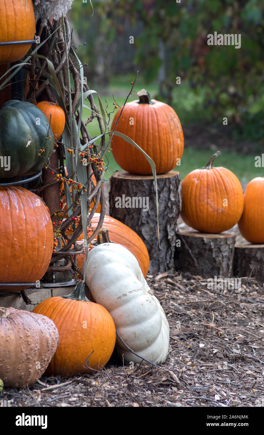 Agriculture holiday hi-res stock photography and images - Alamy