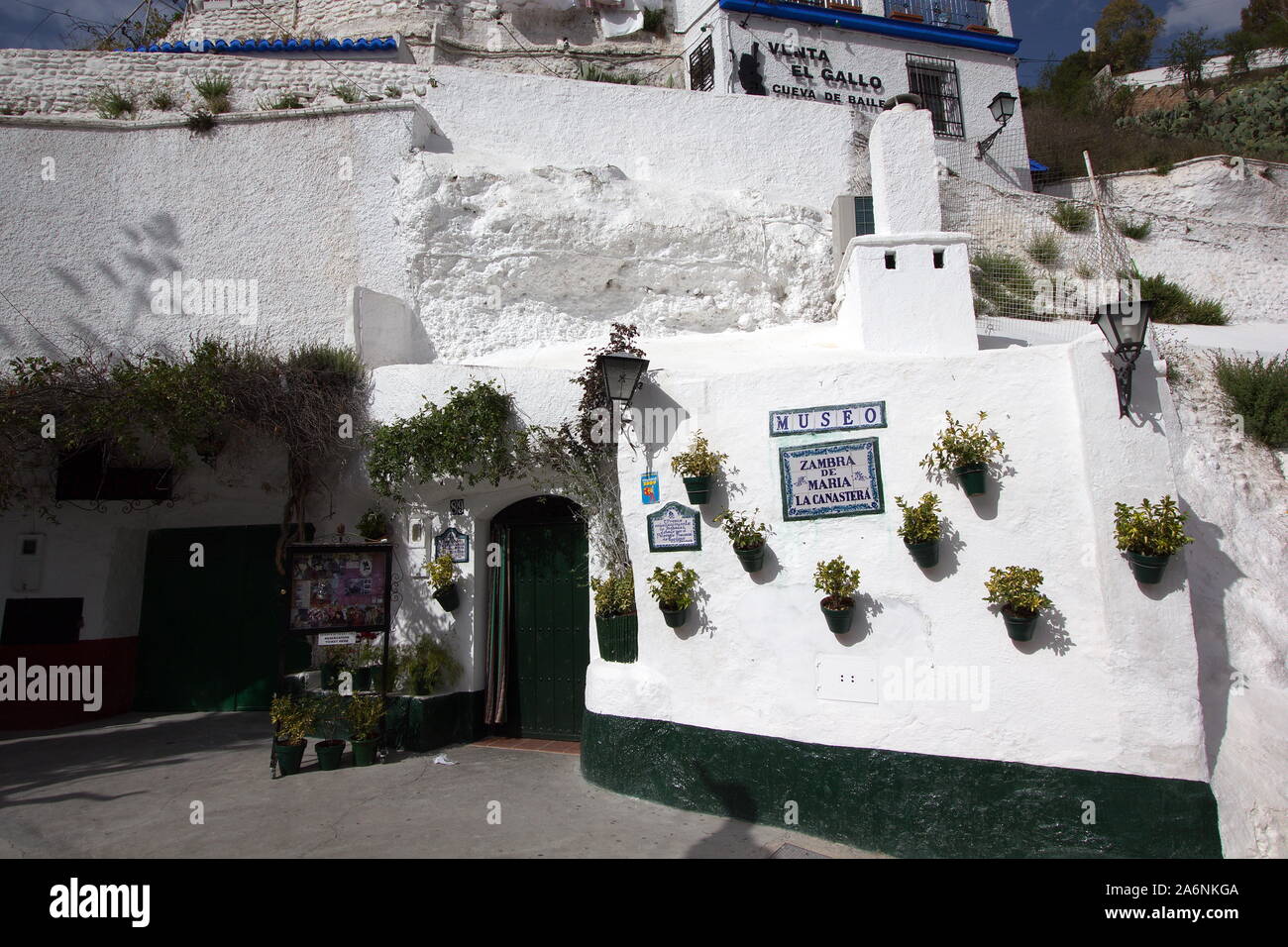 Zamba hi-res stock photography and images - Alamy