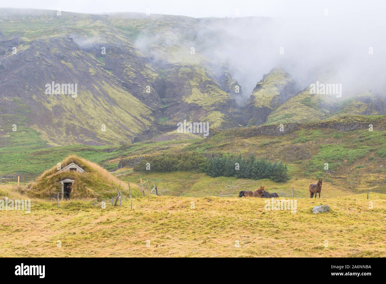 Turf house hi-res stock photography and images - Alamy