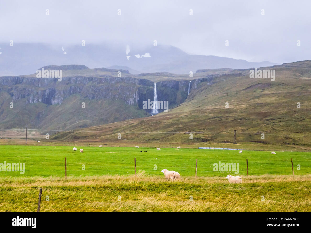 Sheep and waterfall hi-res stock photography and images - Alamy