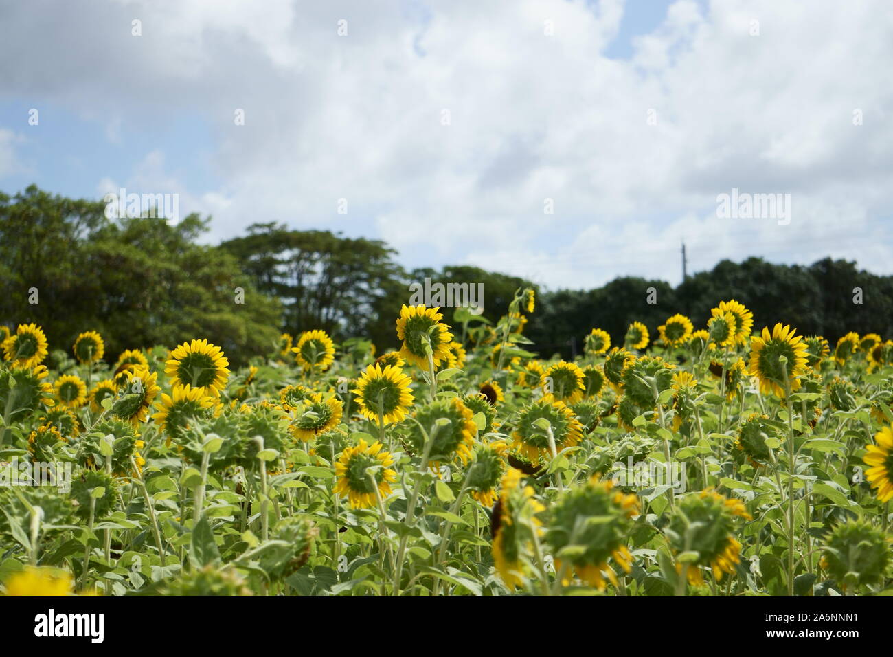 Farm perimeter hi-res stock photography and images - Alamy