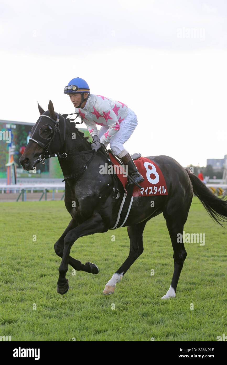 Kyoto, Japan. 26th Oct, 2019. My Style (Katsuharu Tanaka) Horse Racing ...