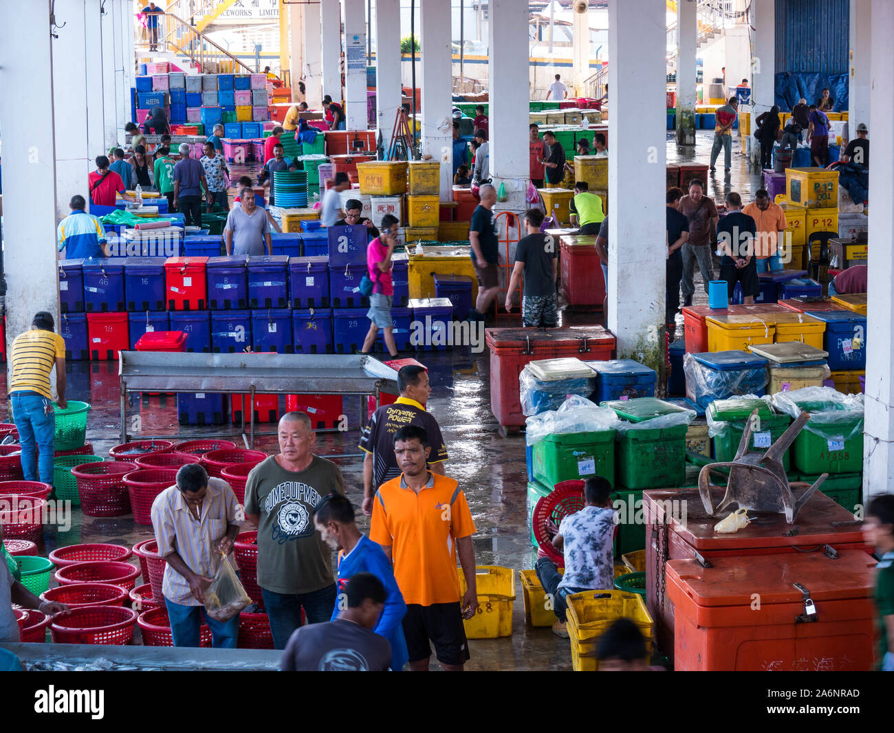 Fish landing hi-res stock photography and images - Alamy