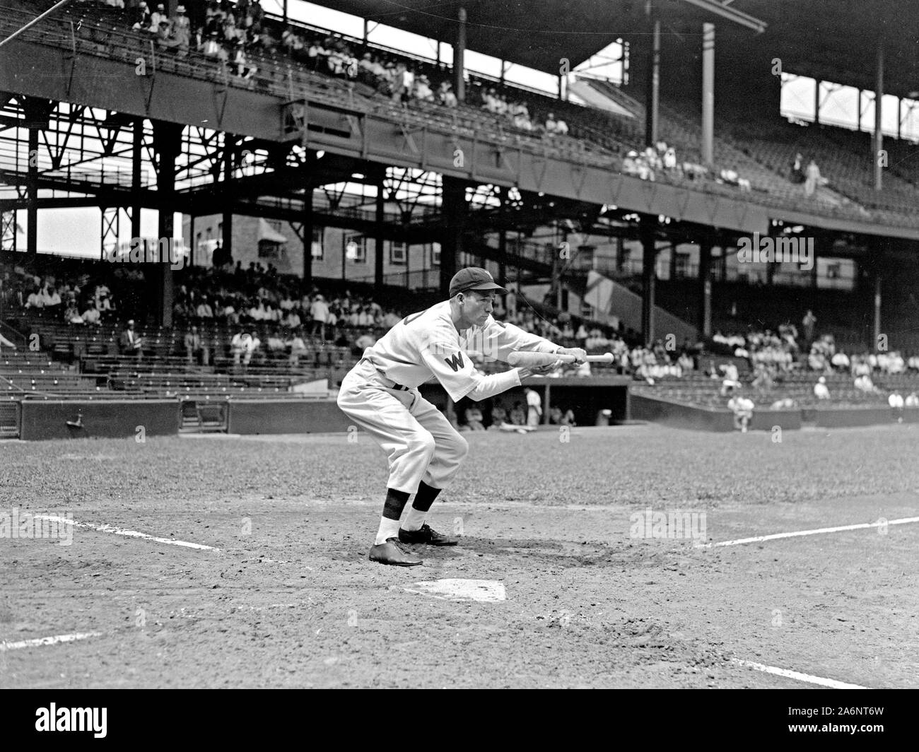 Buck Jacobs, Washington baseball player Stock Photo - Alamy