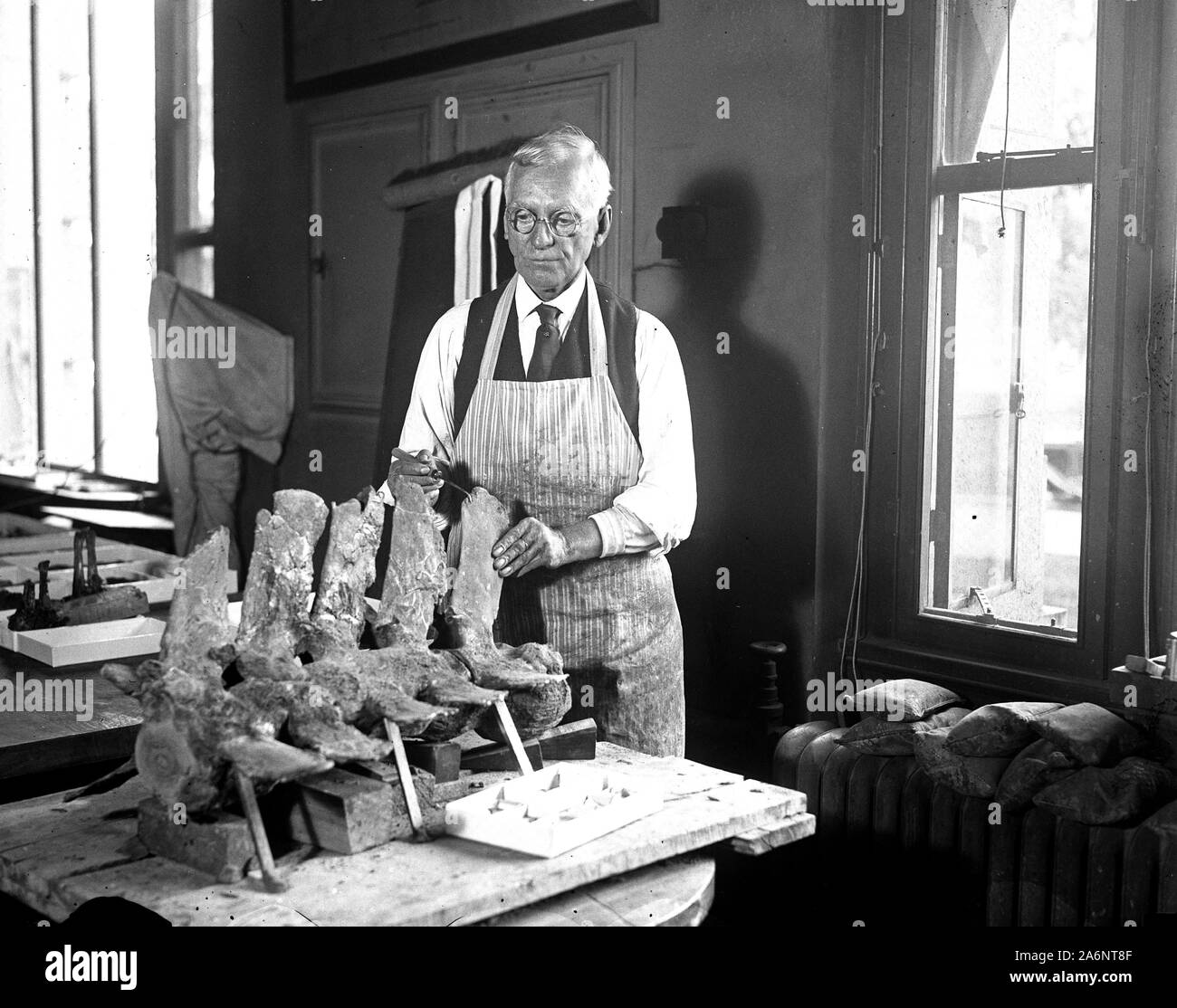Bones and fossils Black and White Stock Photos & Images - Alamy