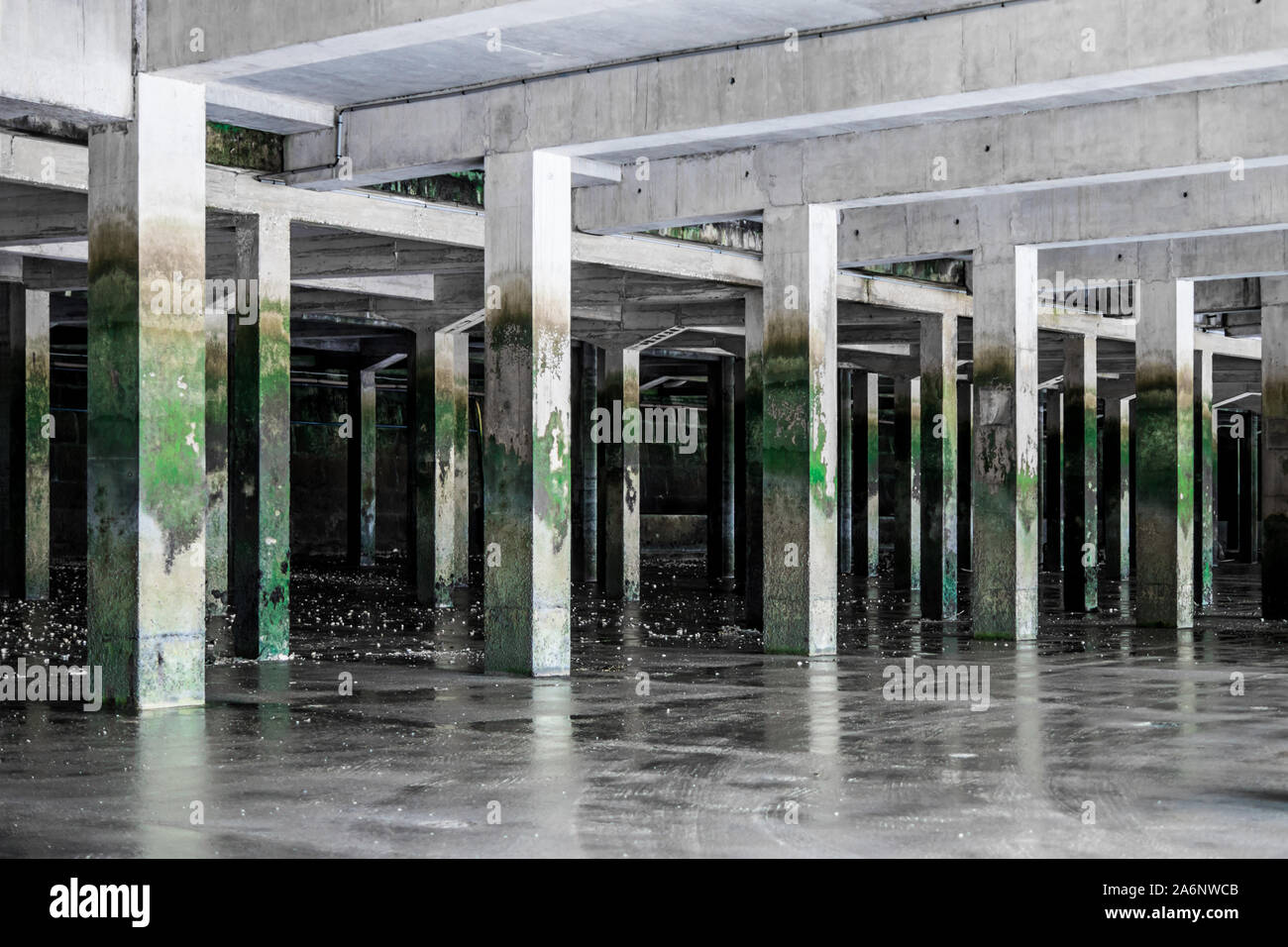 High dynamics picture of concrete pillars underground. Industrial ...