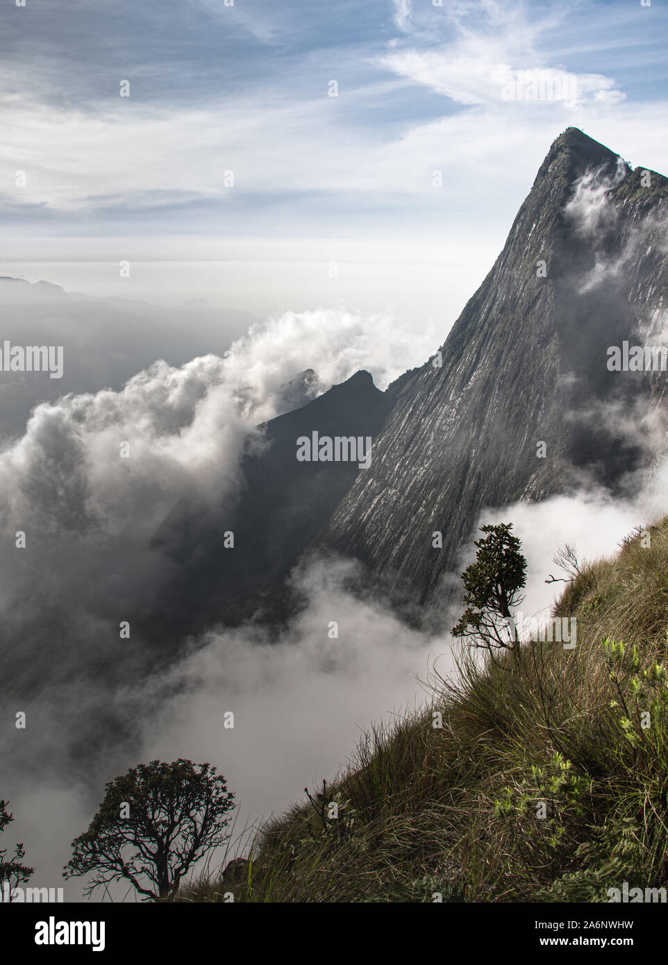 Munnar landscape view of south India Kerala Stock Photo - Alamy