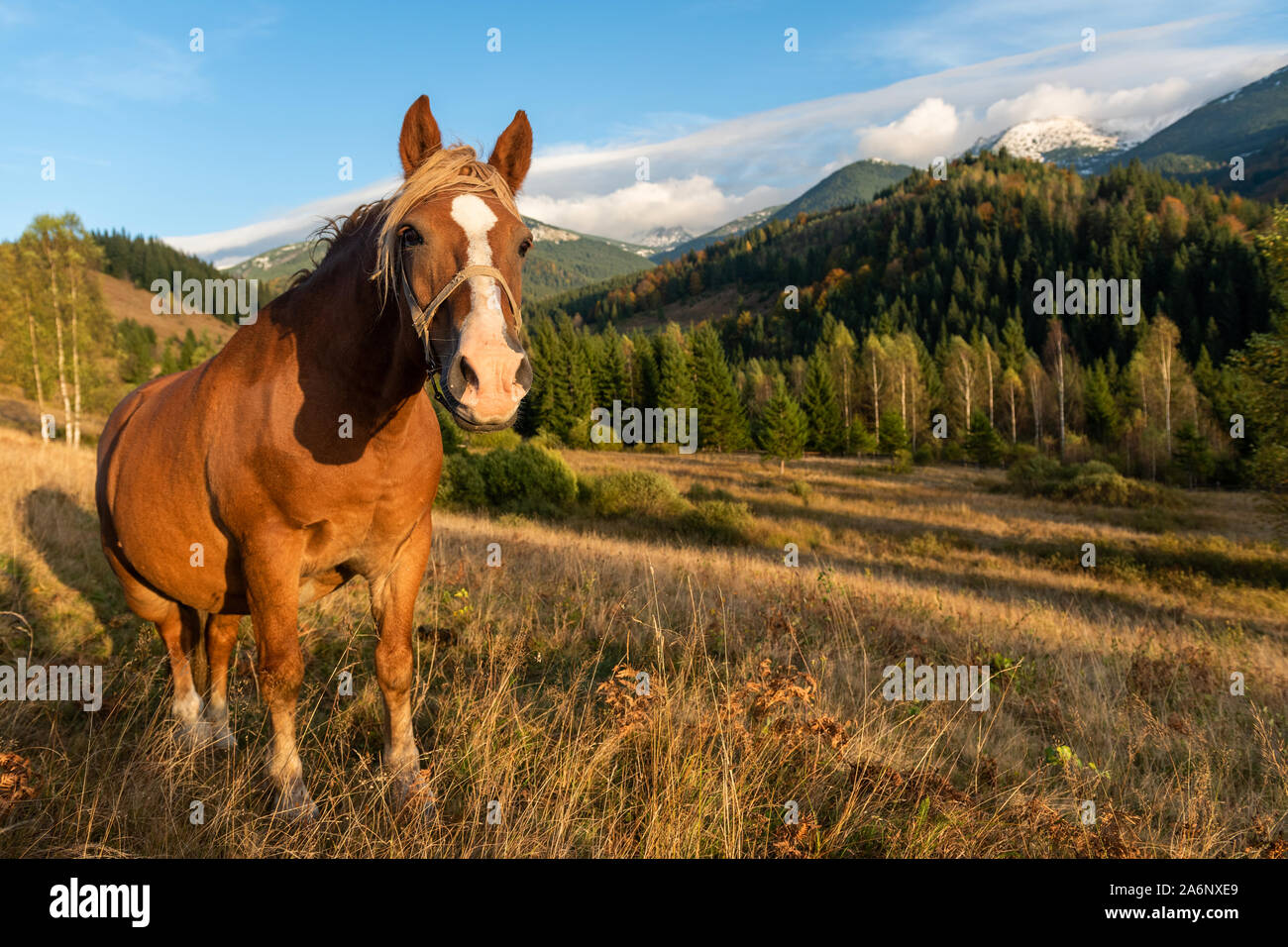 Peak of the horse ranch mountain hi-res stock photography and images ...