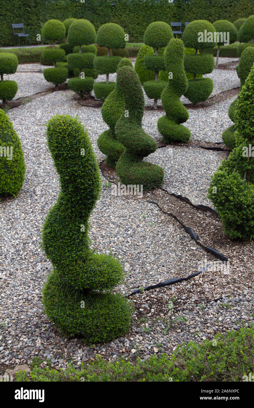 Topiary in Sothy's Garden, Correze, France Stock Photo - Alamy