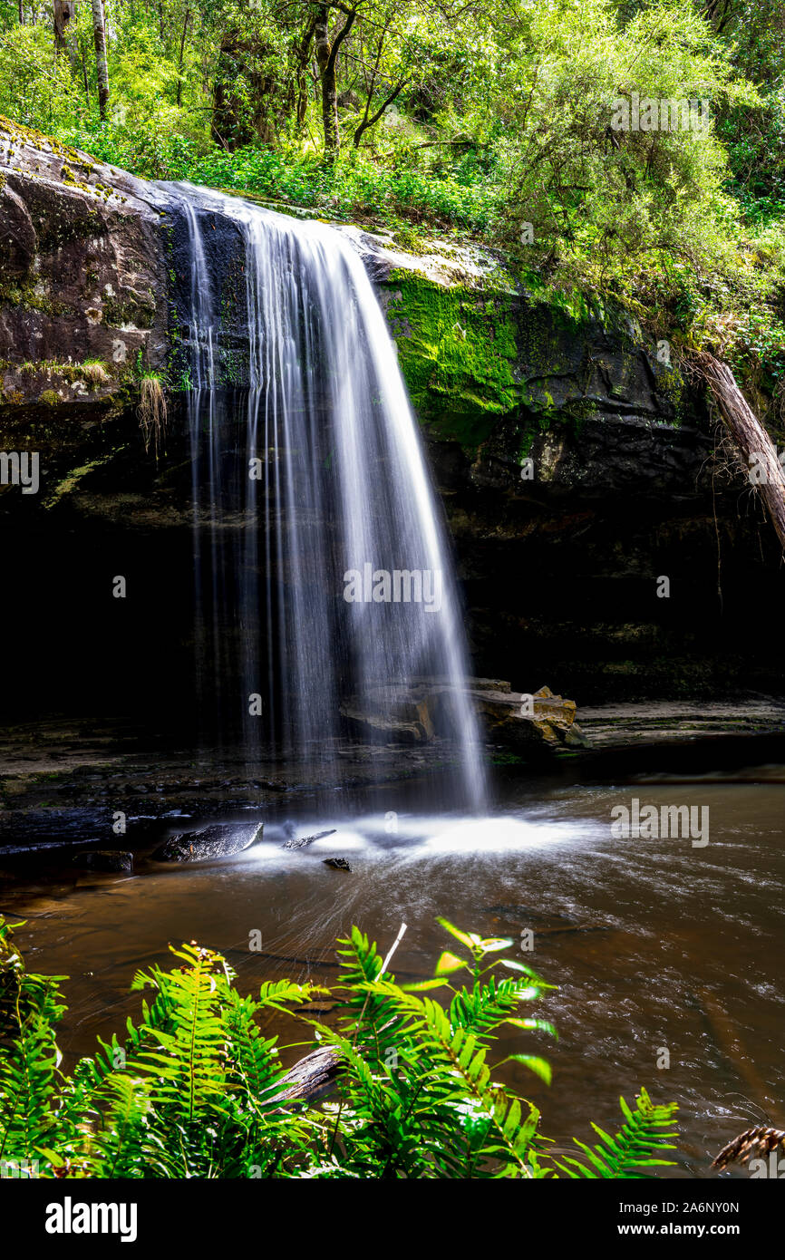 Lower Kalimna Falls, near Lorne, Victoria, Australia. This beautiful ...