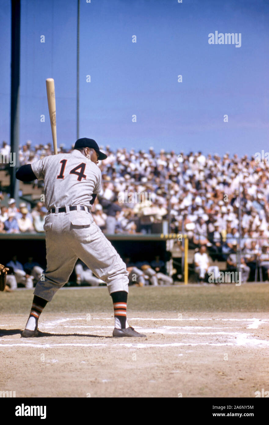 Doby hi-res stock photography and images - Alamy