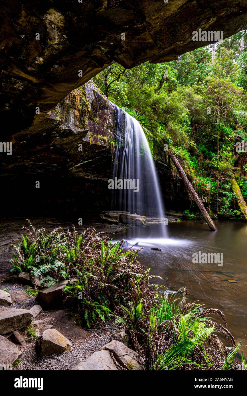 Victorian otways hi-res stock photography and images - Alamy