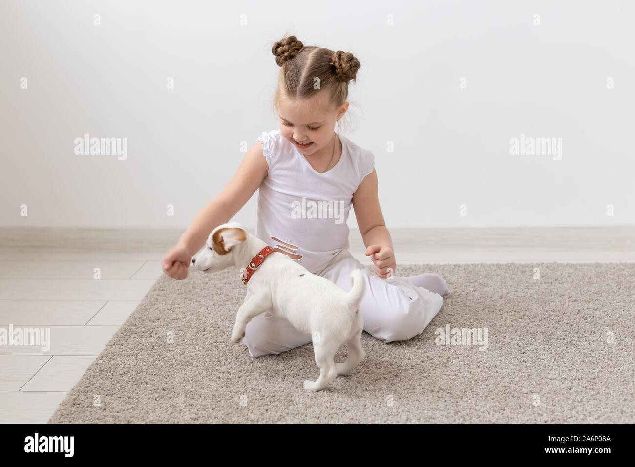 Pet, children and animal concept - Adorable child girl and funny puppy ...
