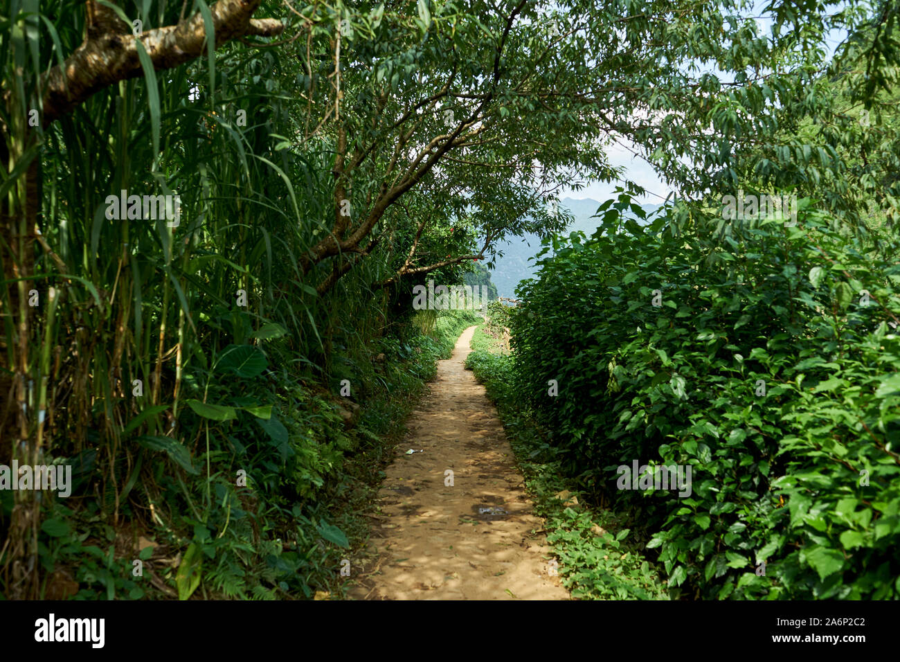 Ha giang road hi-res stock photography and images - Alamy