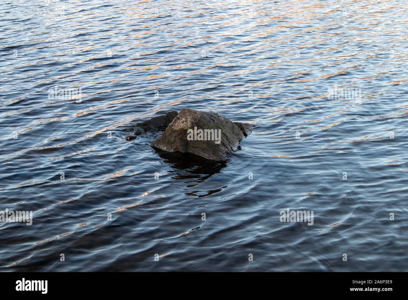 rock peaking out of water Stock Photo - Alamy
