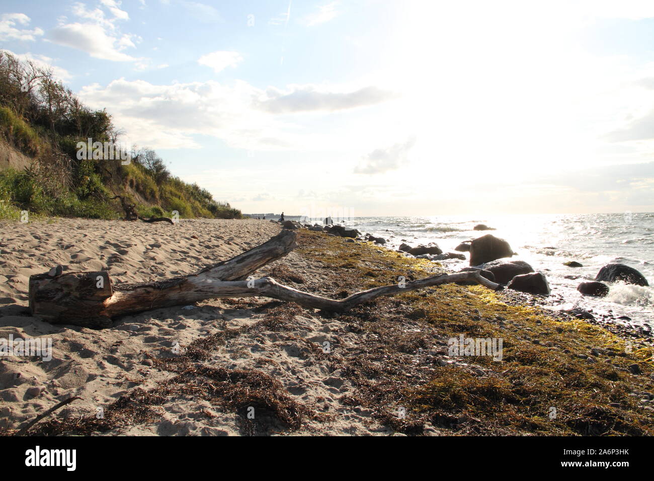 Freight on the Baltic Sea beach Stock Photo - Alamy