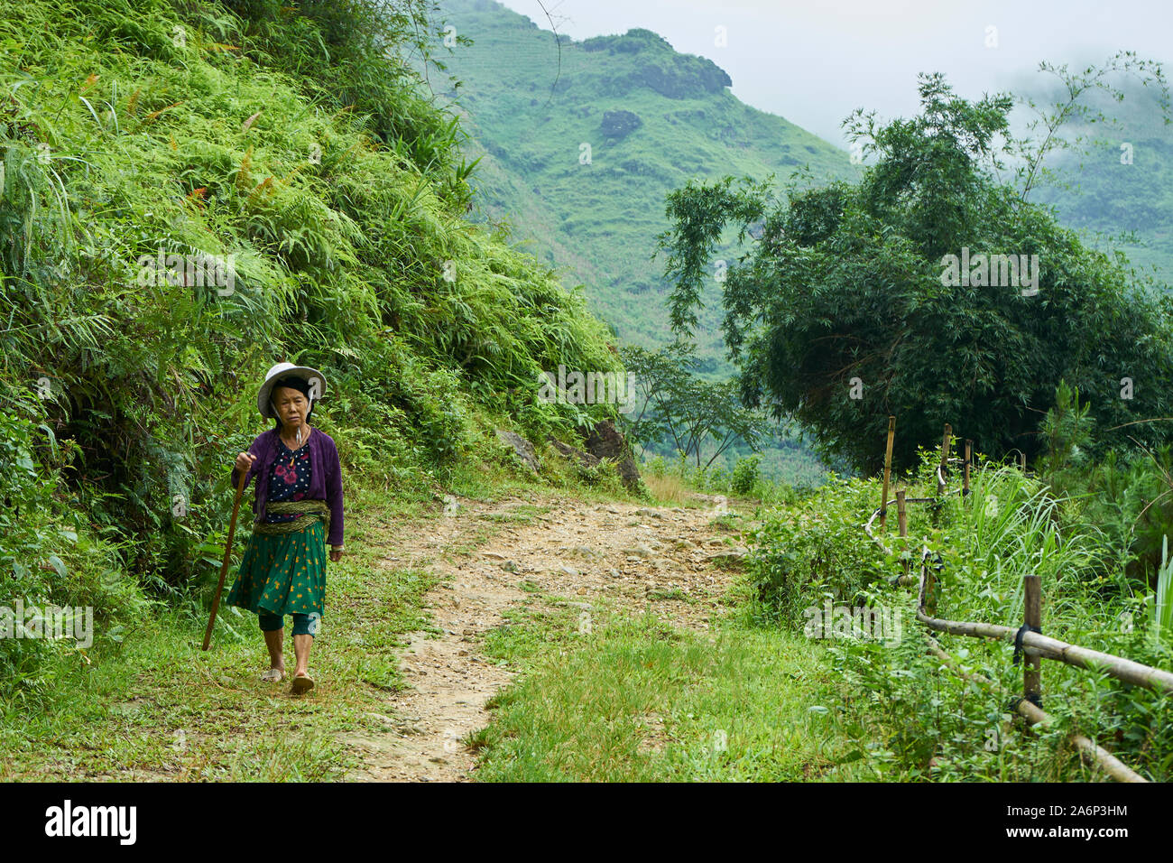 People of Vietnam Stock Photo - Alamy