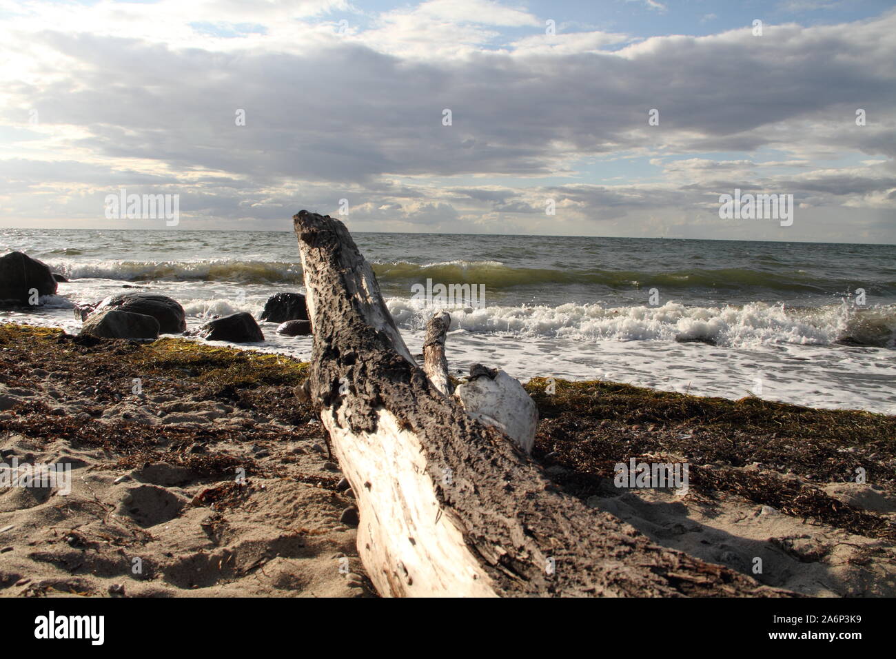 Freight on the Baltic Sea beach Stock Photo - Alamy