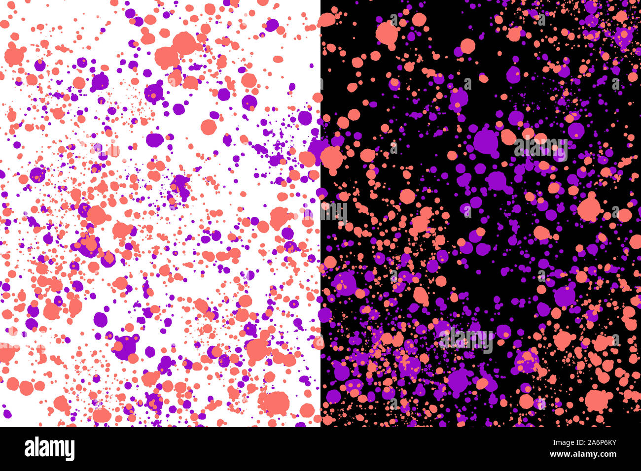 Neon purple and coral paint splashes on black and white background ...