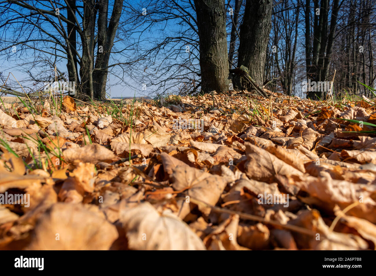 Shot at ground level hi-res stock photography and images - Alamy