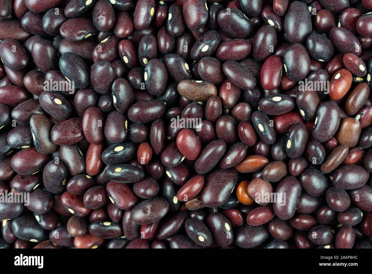 Beans bean. Background of many grains of dried beans. Brown beans ...