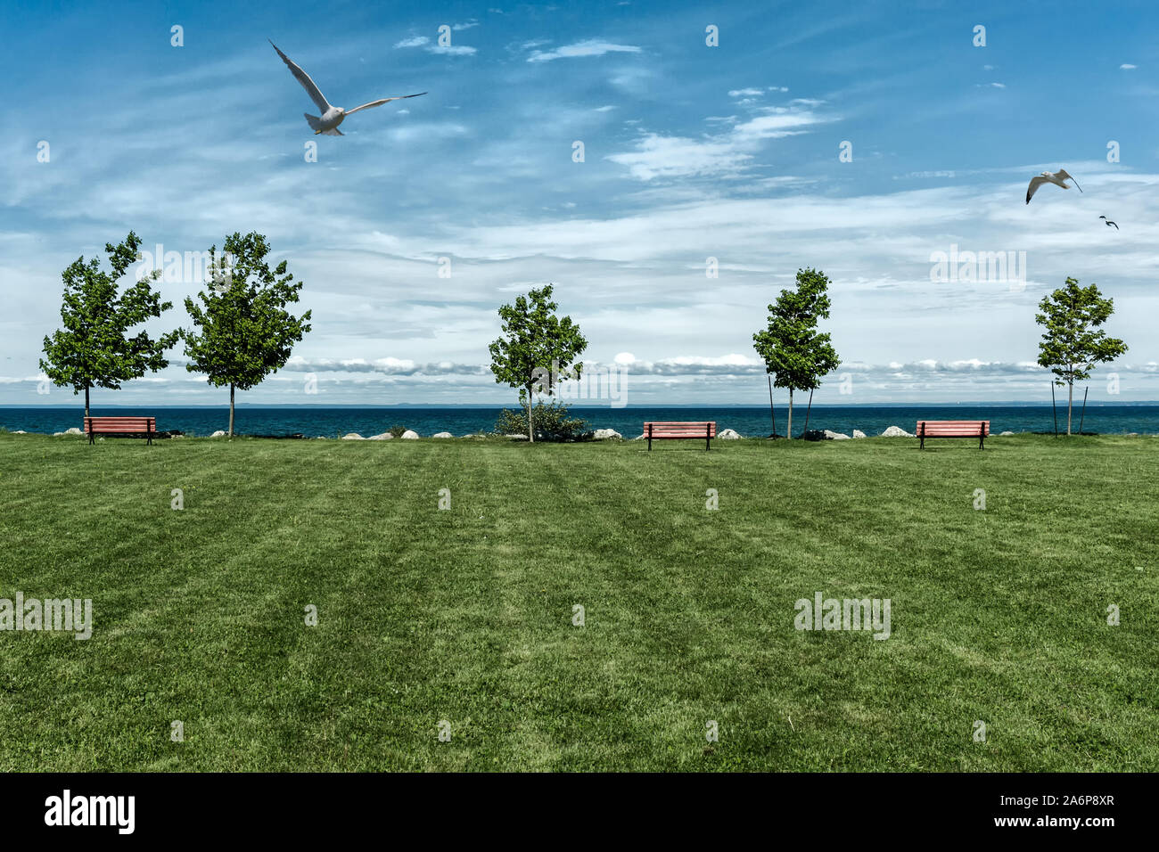 Collingwood avenue hi-res stock photography and images - Alamy