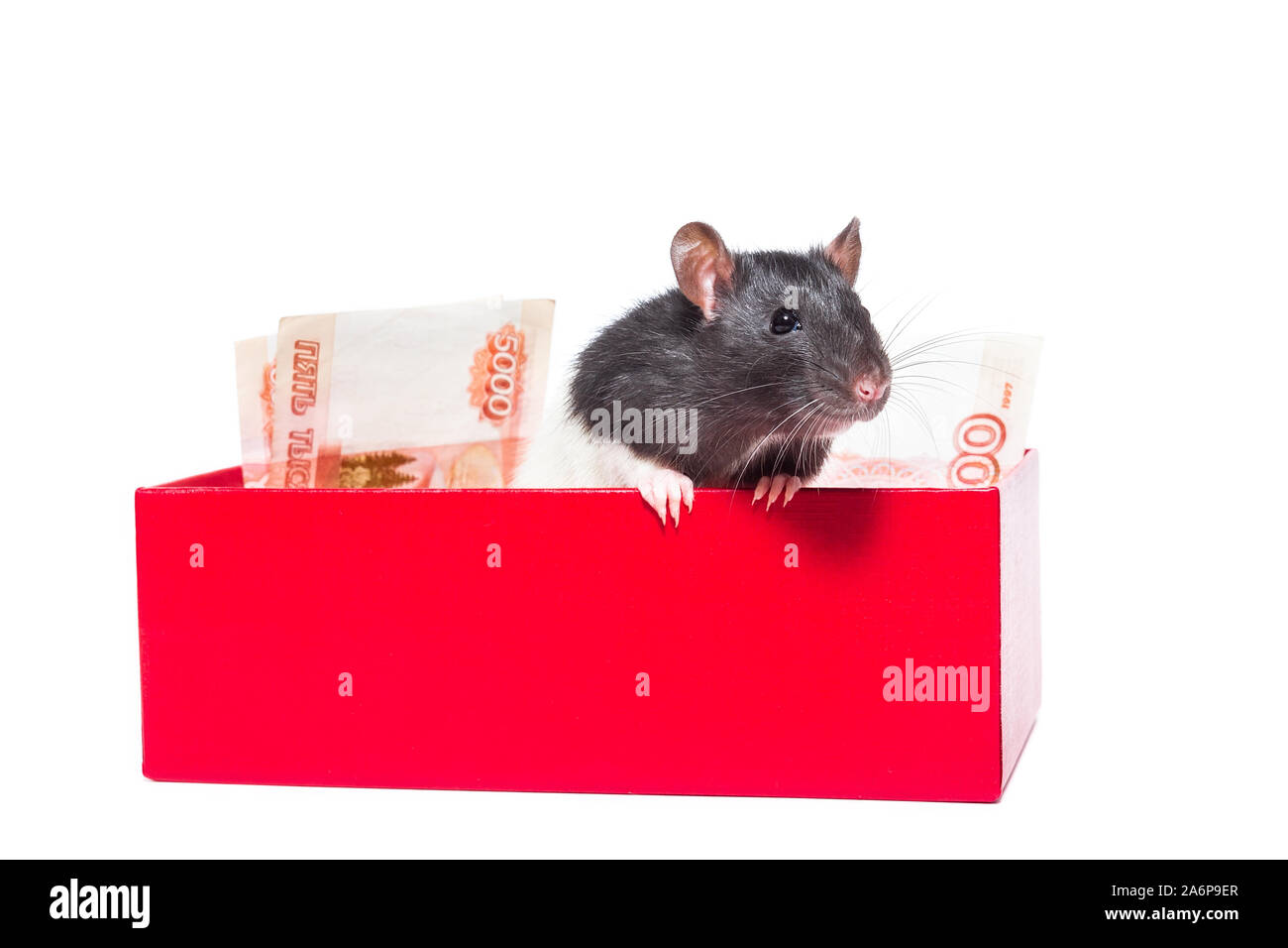 Chinese Symbols White Background High Resolution Stock Photography and ...