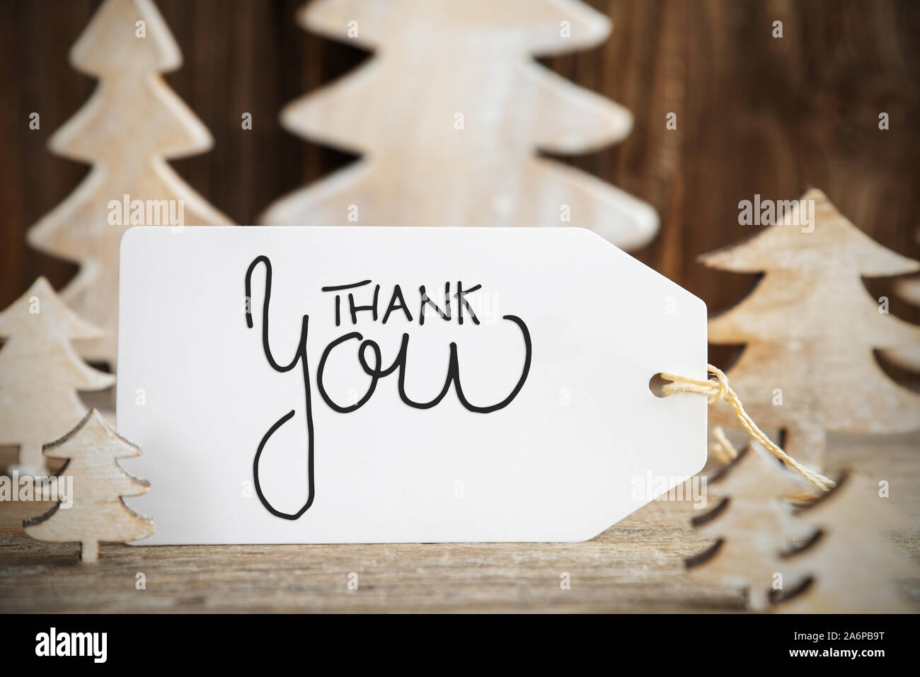 Tree appreciation hi-res stock photography and images - Alamy