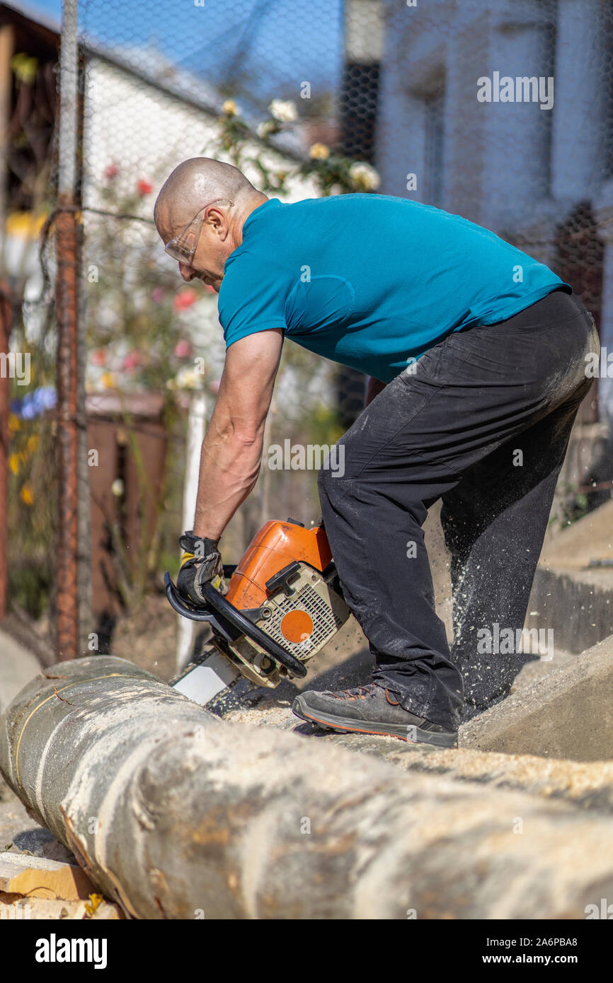 Man cut with saw. Dust and movements. Woodcutter saws tree with ...