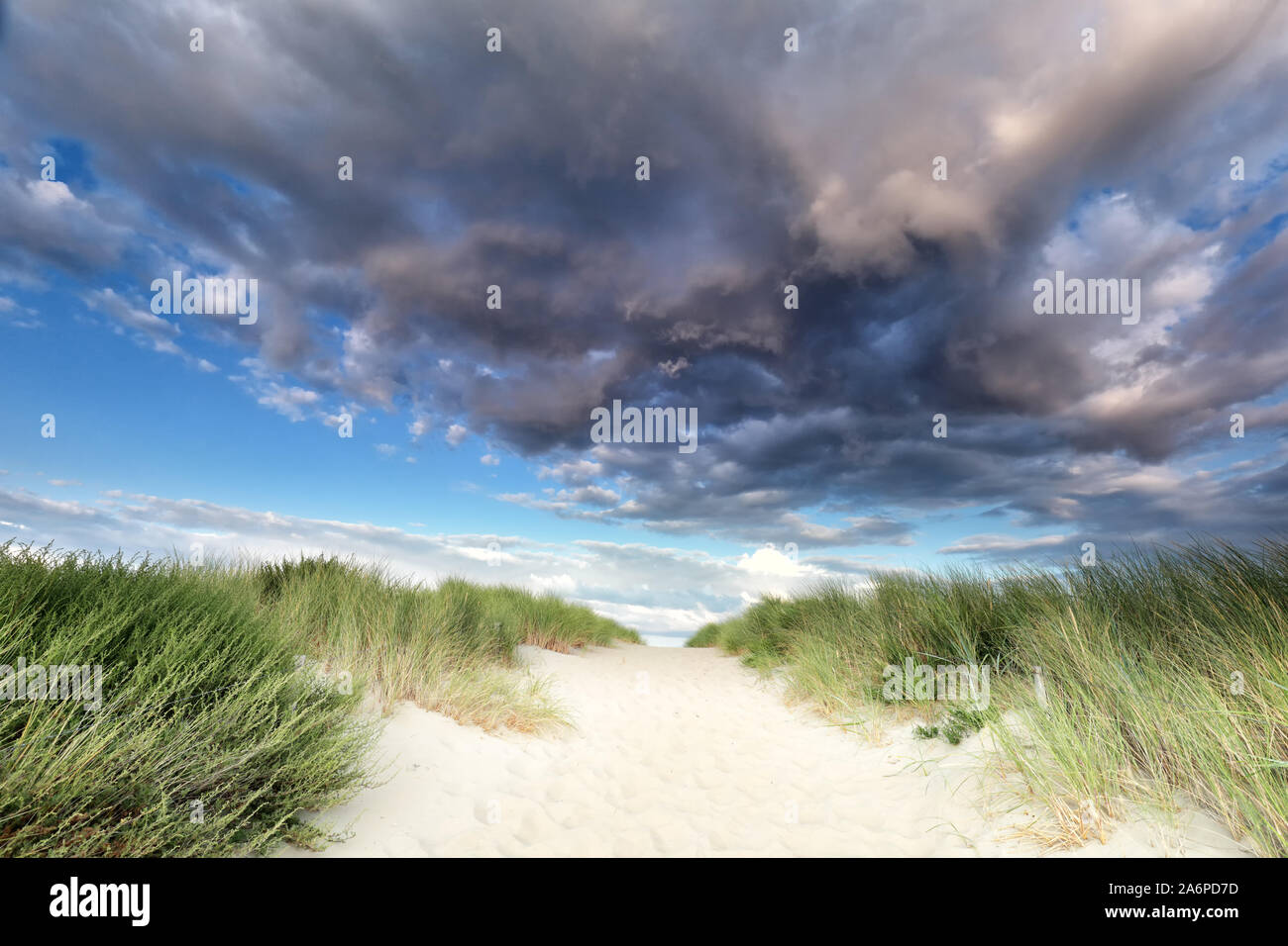 dramatic rain clouds over path up sand dune in summer Stock Photo - Alamy