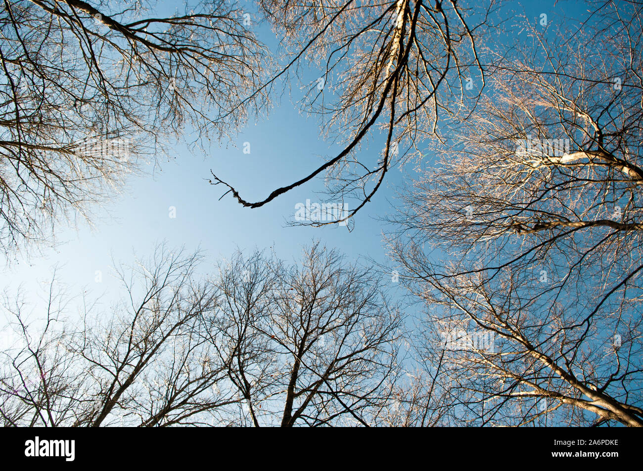 Relaxing outdoor environment hi-res stock photography and images - Alamy