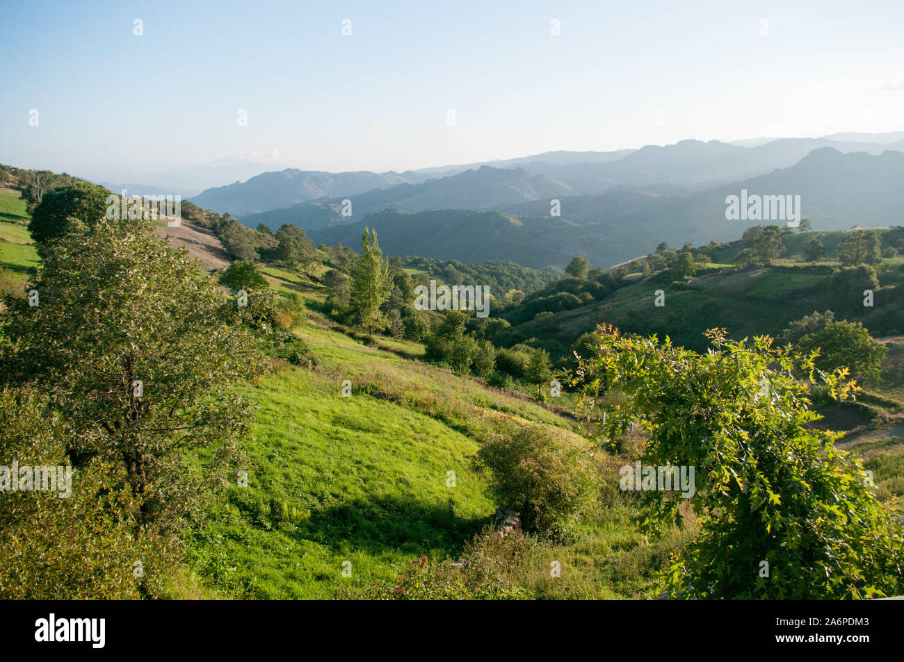 Grassland view hi-res stock photography and images - Alamy