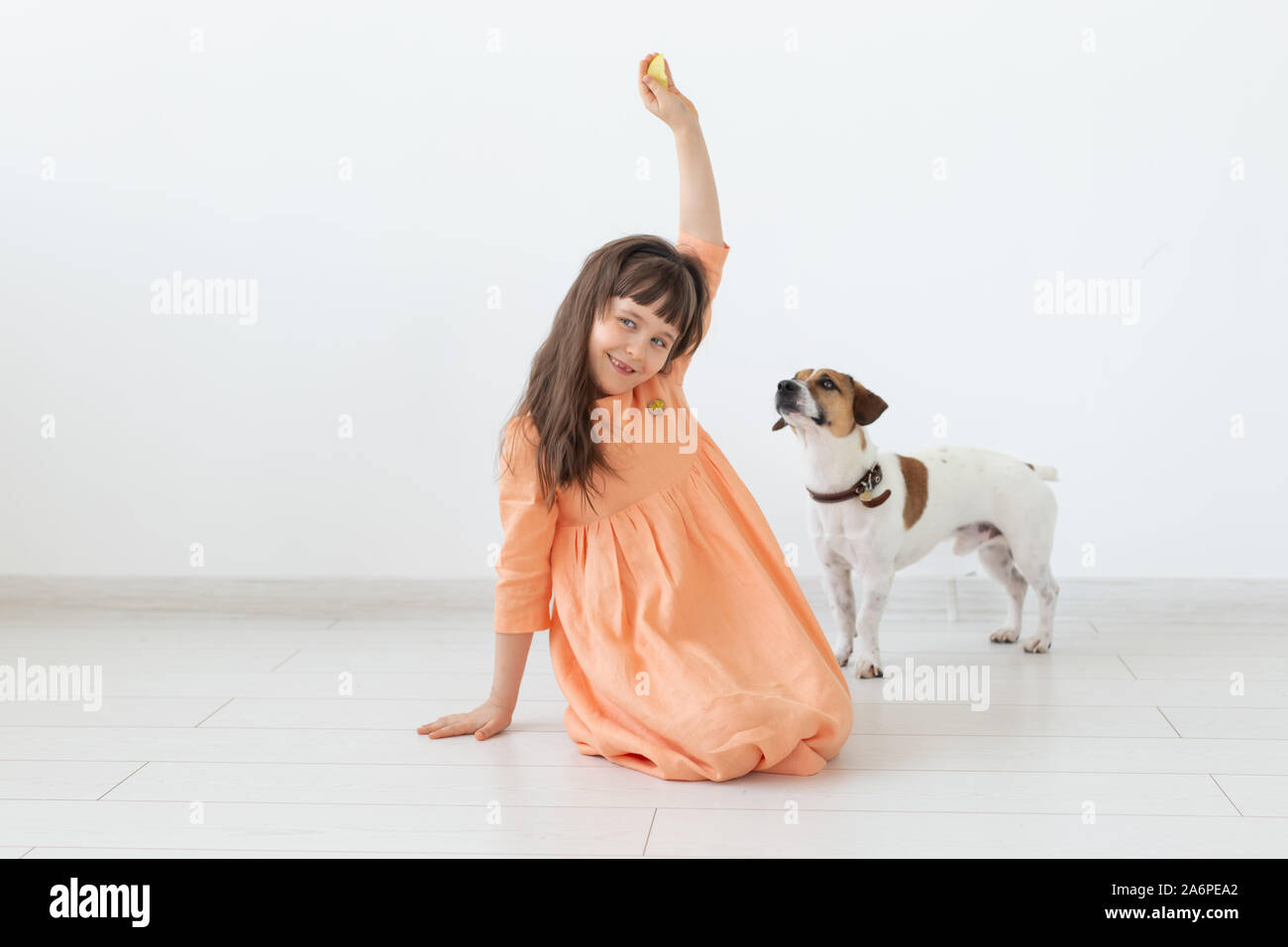 Pet, children and dogs concept - little girl in dress playing with ...