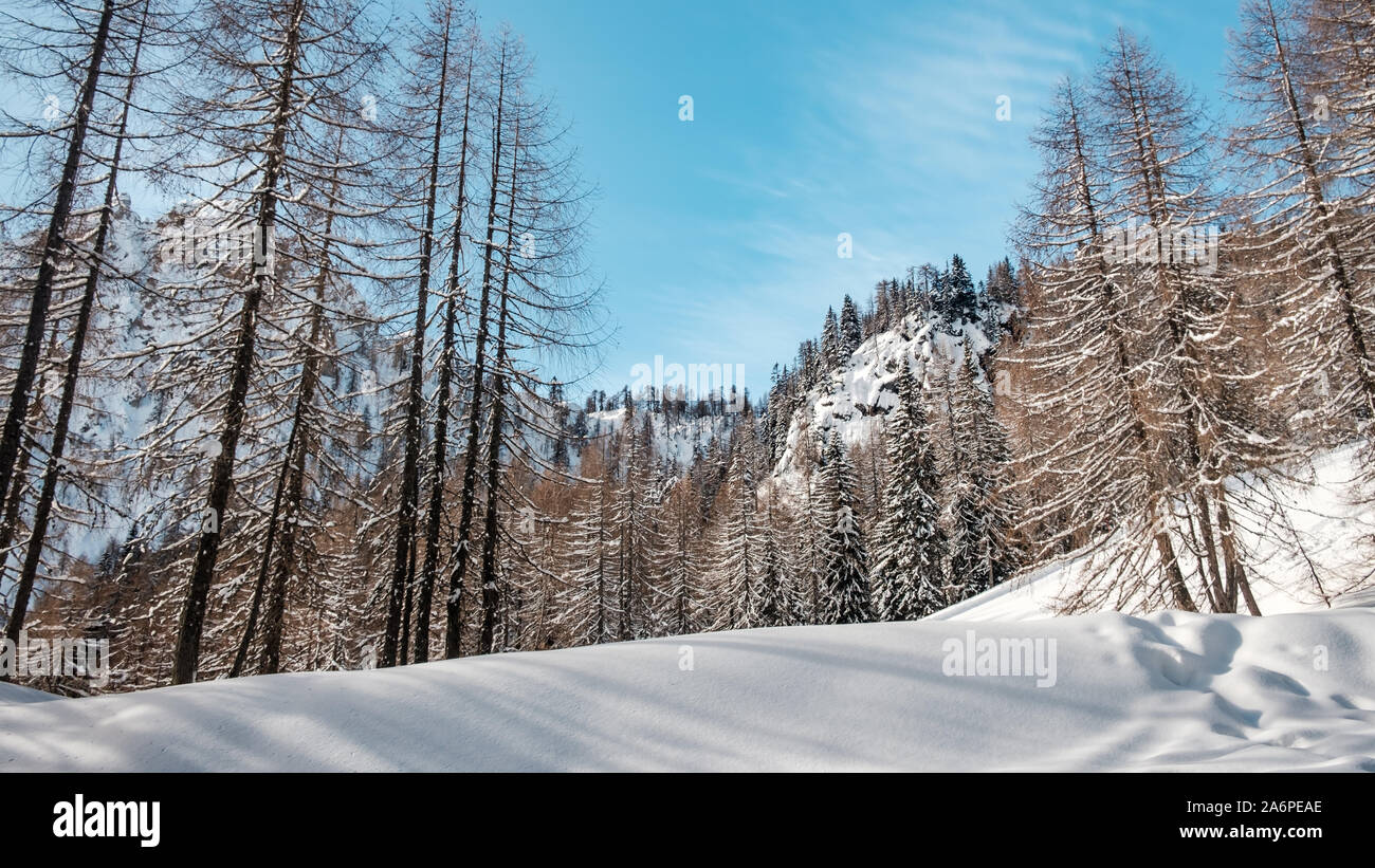 The peaks of Tarvisio in the italian alps Stock Photo - Alamy