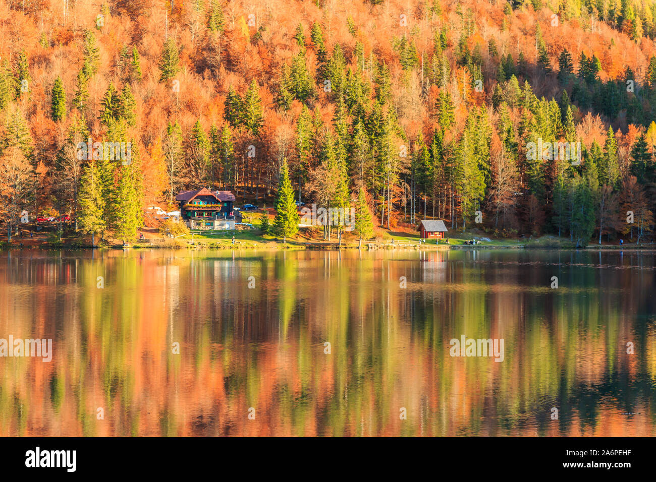 october afternoon at the lake during a colorful autumn Stock Photo - Alamy