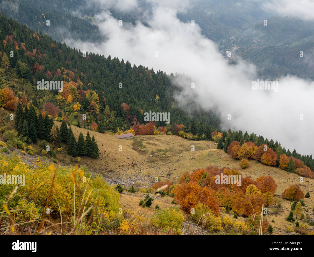 color of autumn Stock Photo - Alamy