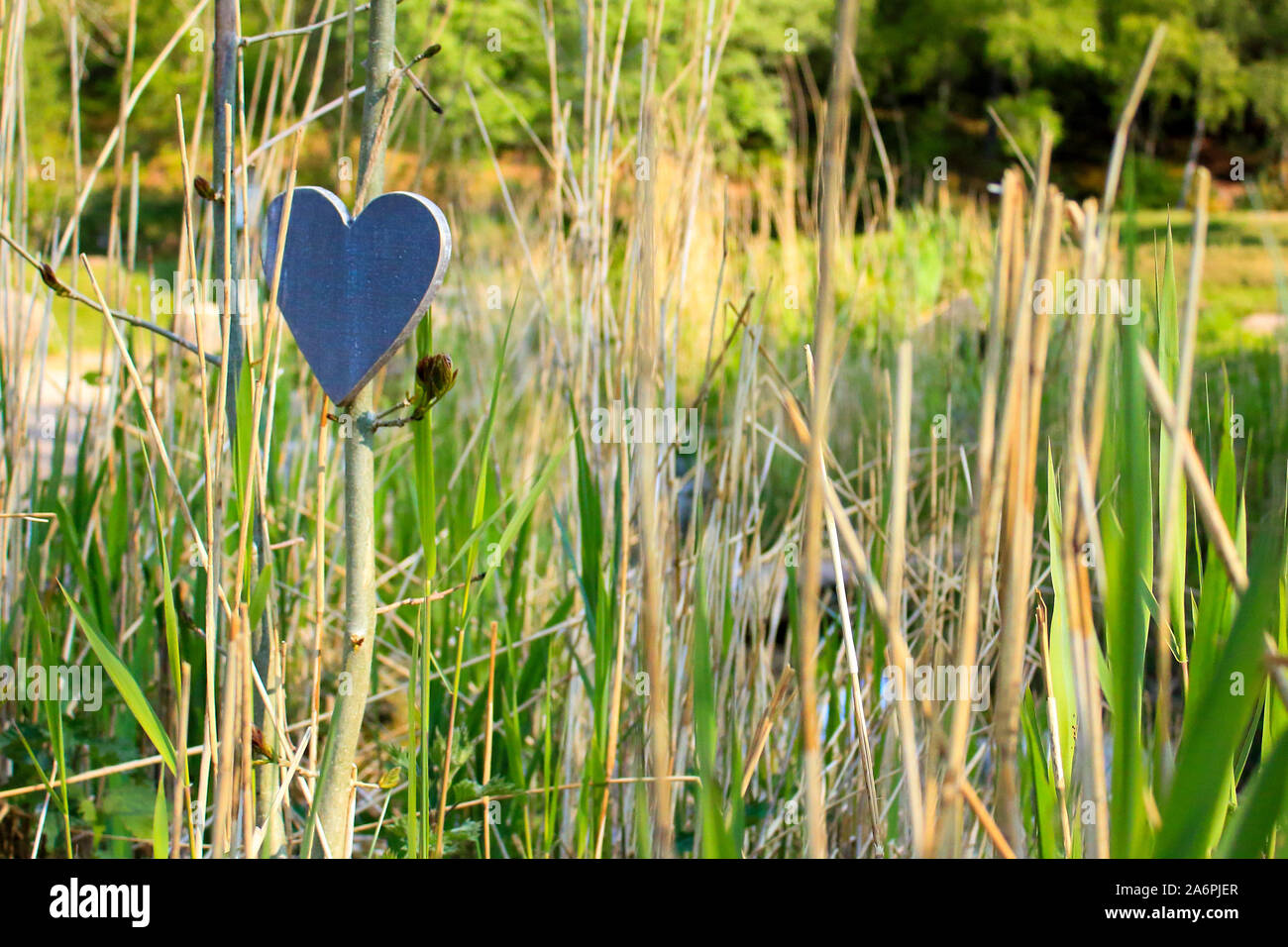 Landscape invitation hi-res stock photography and images - Alamy